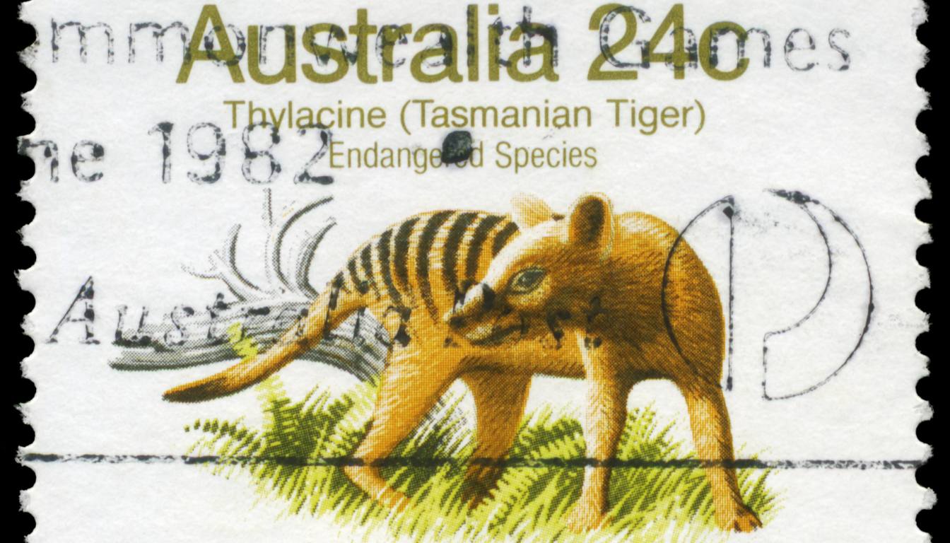 Conheça os Animais Extintos que Já Habitaram o Planeta - Mente Exploradora